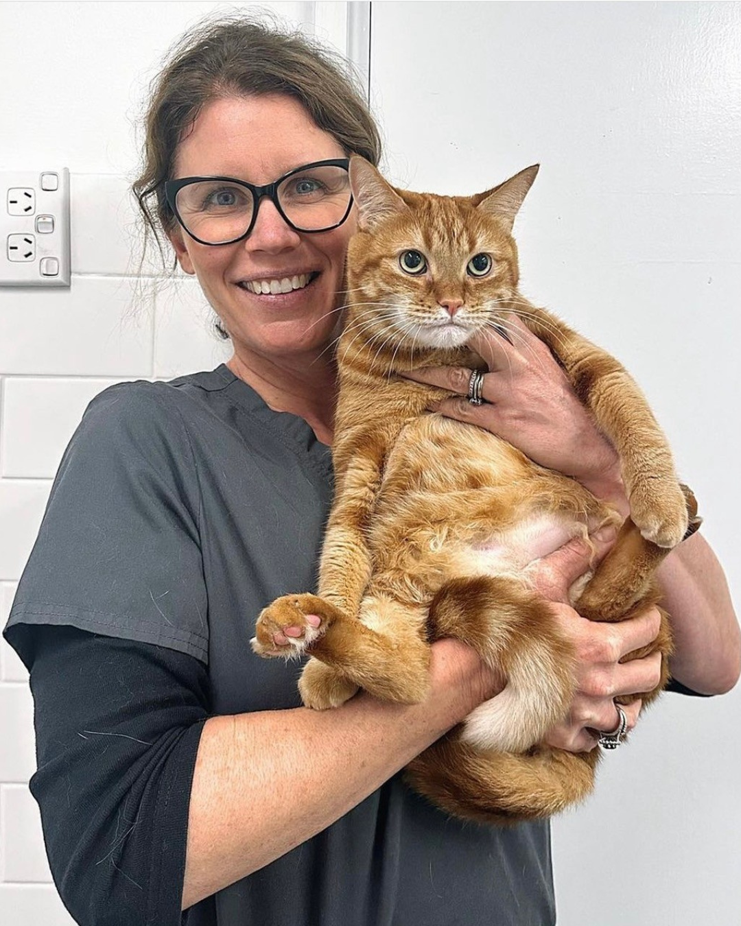 Dr Justine with Chester – Maroubra Vet