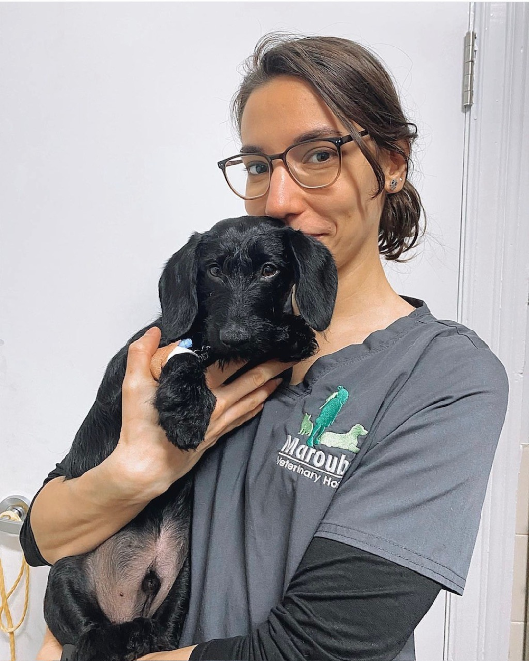 Nurse Anna with Dexter – Maroubra Vet