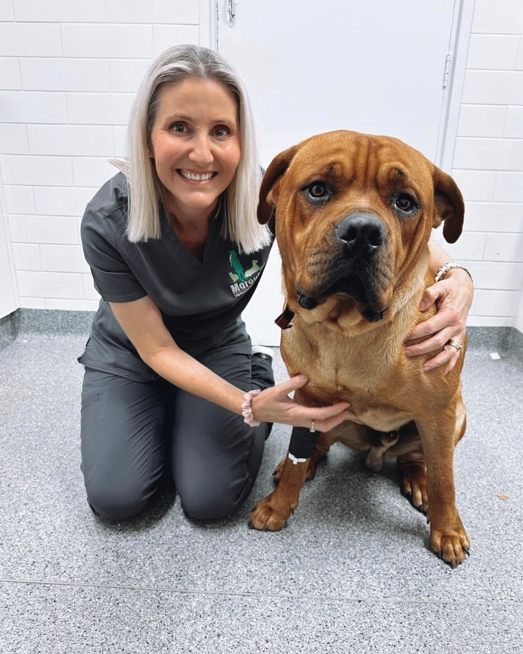 Nurse Elsha with Theo – Maroubra Vet