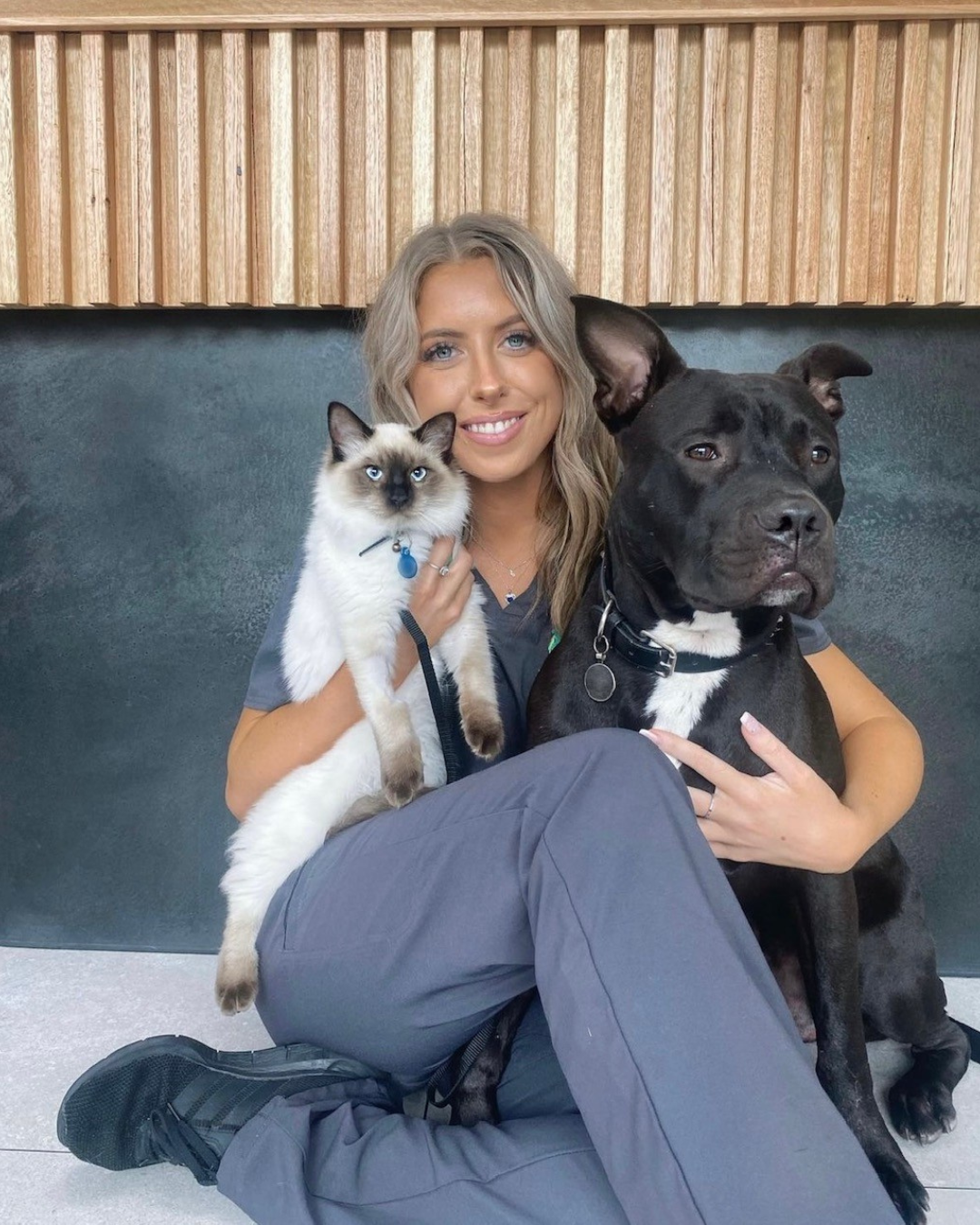 Nurse Leah with Shadow (ragdoll) and Raven (staffy) – Maroubra Vet