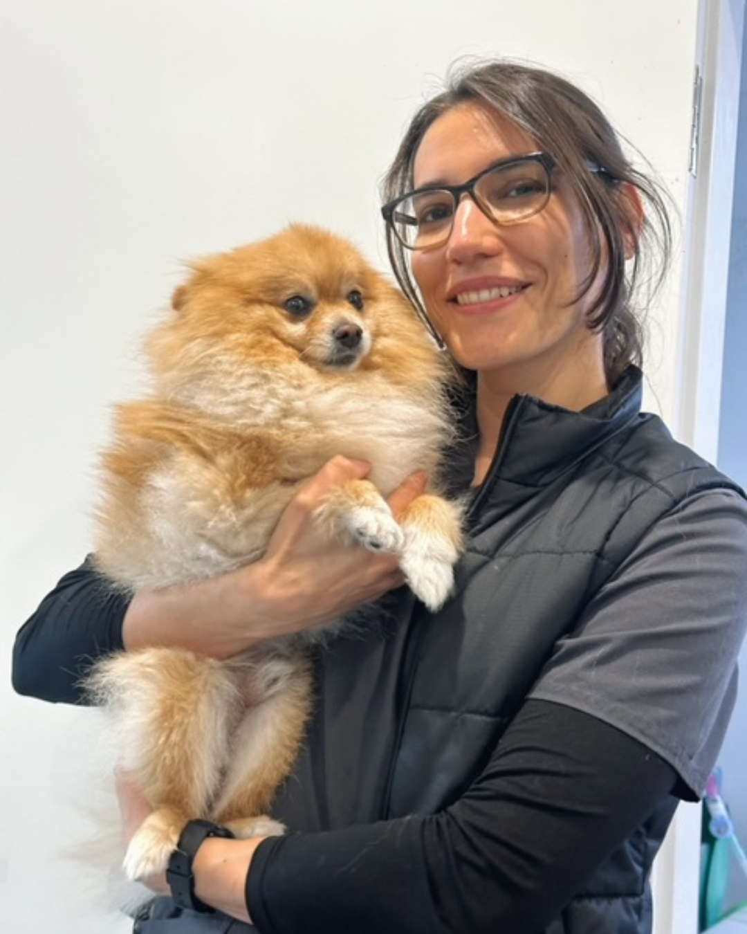 Gallery | Maroubra Vet